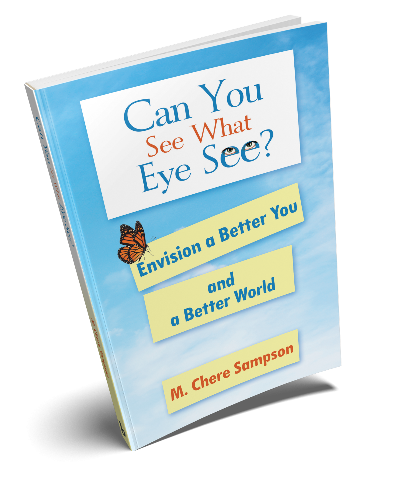 About the Book | Can You See What Eye See?